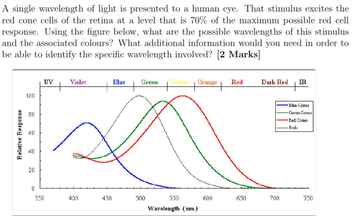 Solved A single wavelength of light is presented to a human | Chegg.com