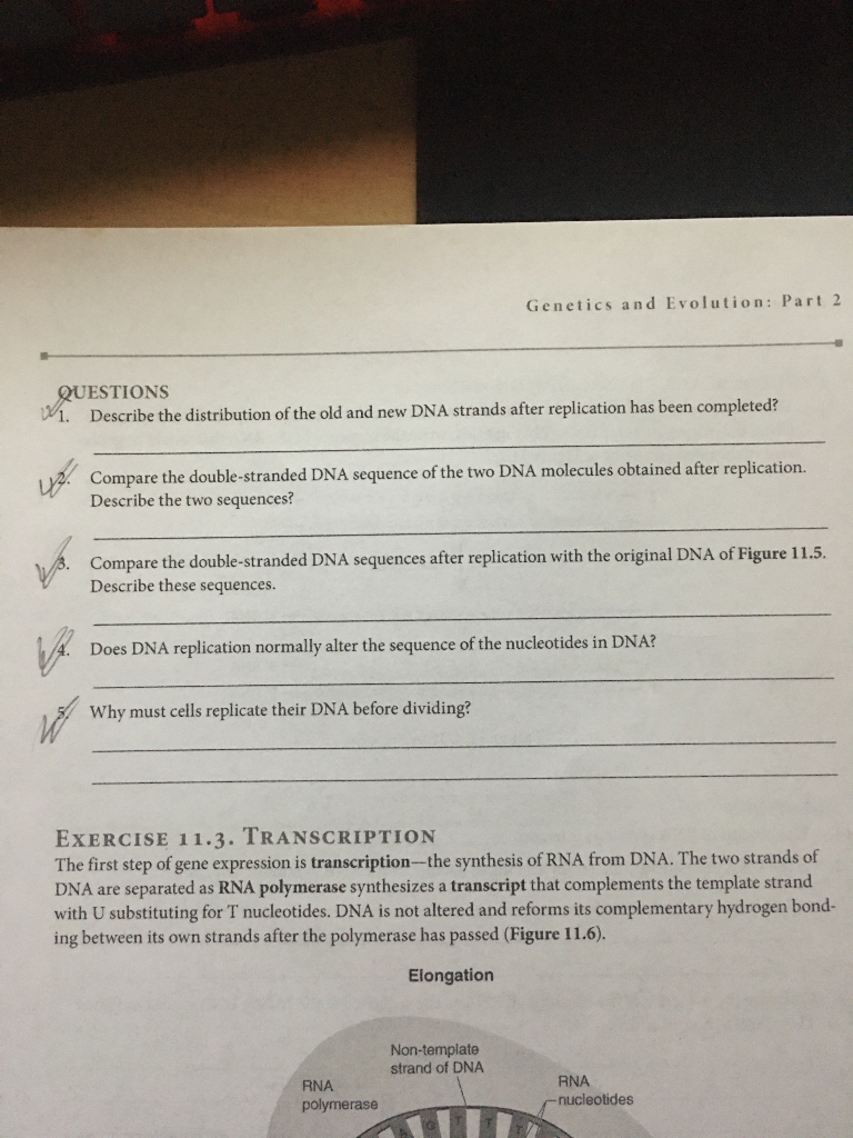 Solved Genetics and Evolution: Part 2 QUESTIONS W. Describe | Chegg.com