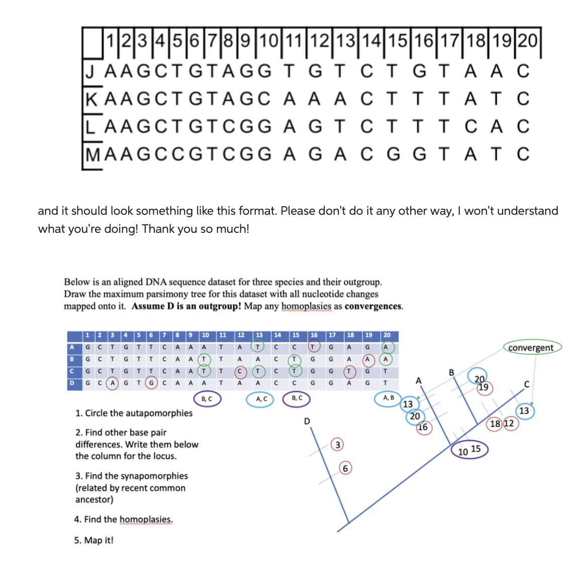 Solved Assume M is the outgroup. Draw a phylogeny for these | Chegg.com