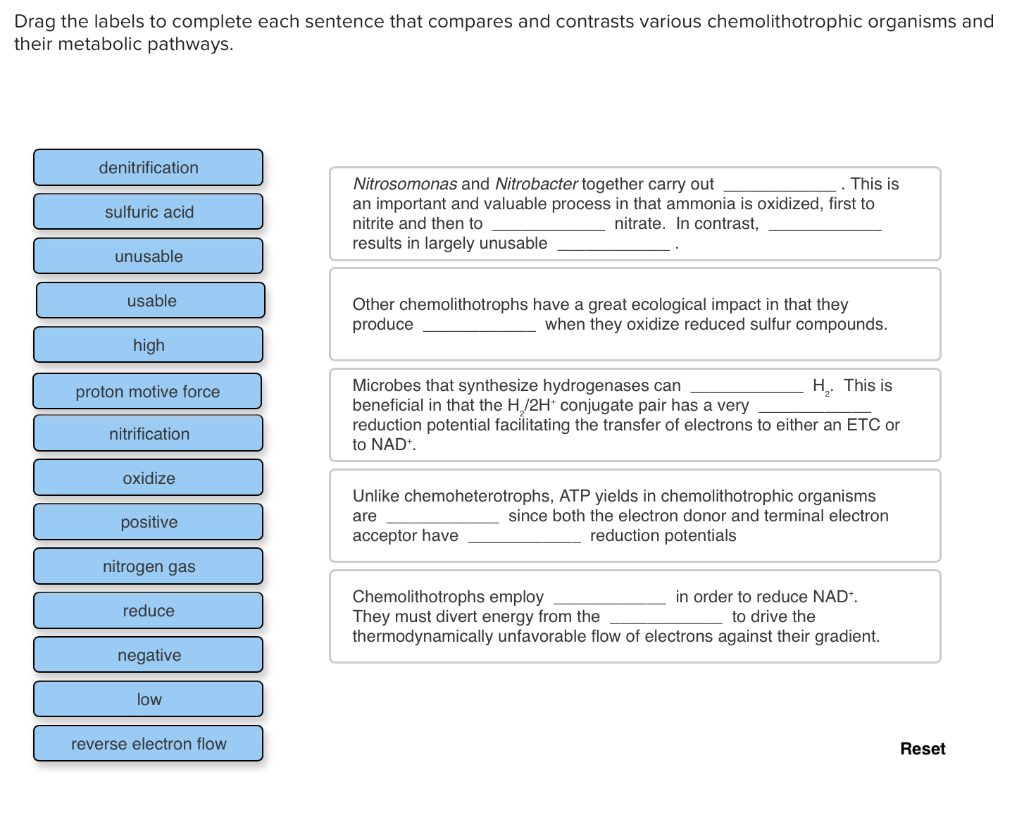 Solved Drag the labels to complete each sentence that | Chegg.com