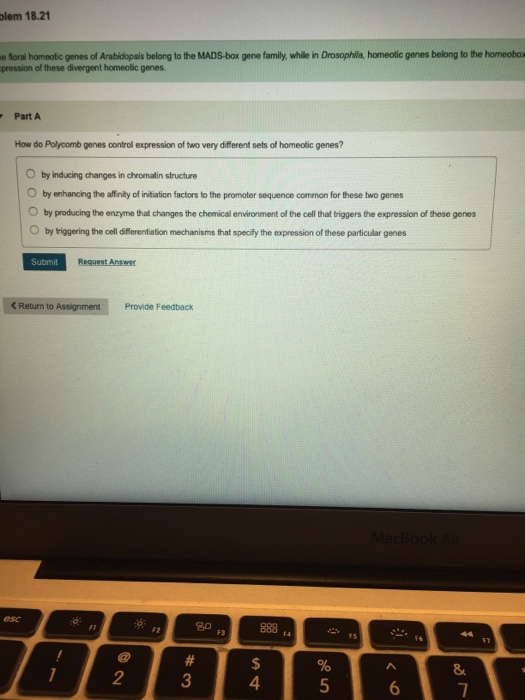 Solved olem 18.21 e foral homeotic genes of Arabidopsis | Chegg.com