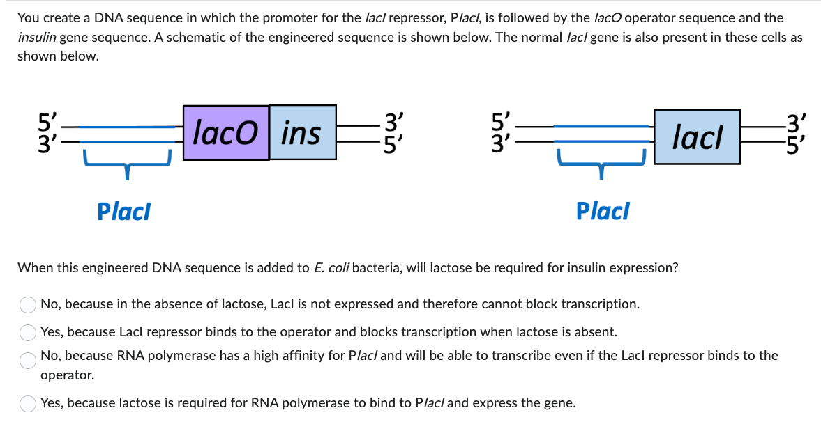 Solved You create a DNA sequence in which the promoter for | Chegg.com