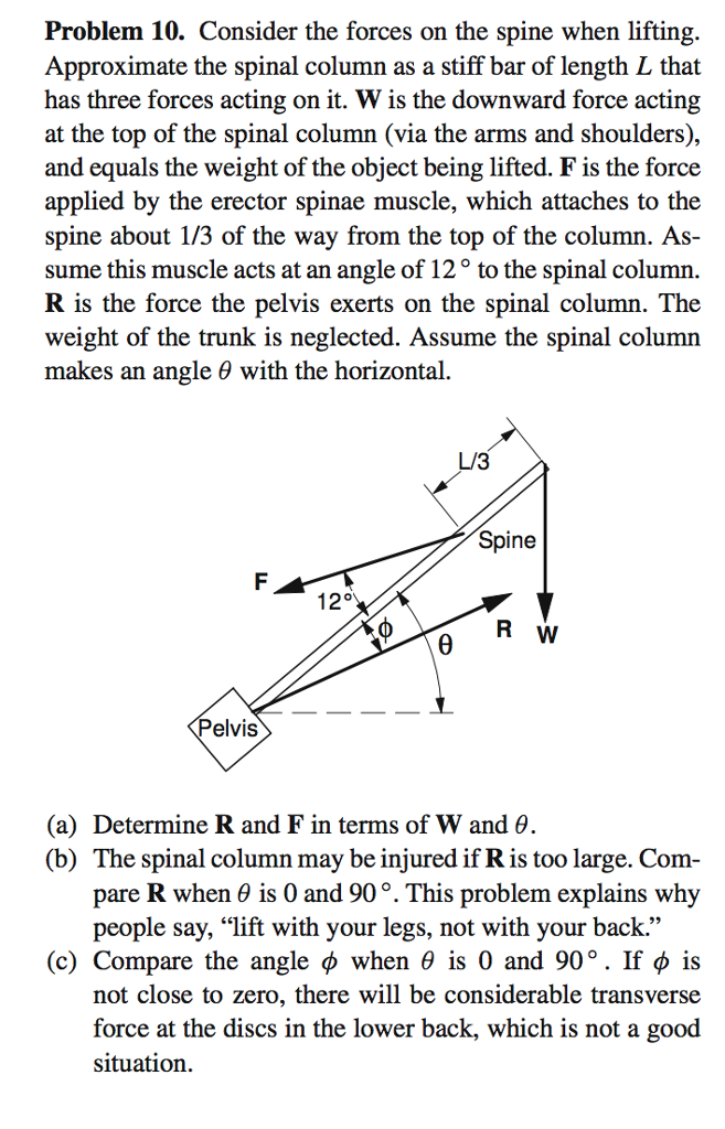 Problem 10. Consider the forces on the spine when | Chegg.com