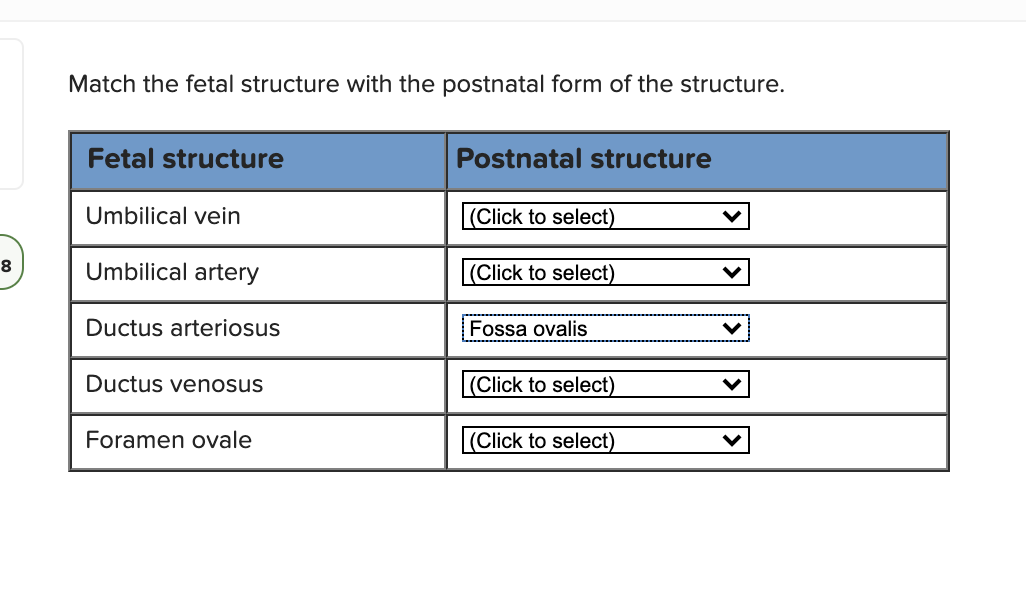 Match the fetal structure with the postnatal form of | Chegg.com