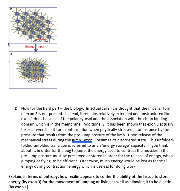 3. The primary sequence of the protein resilin is | Chegg.com