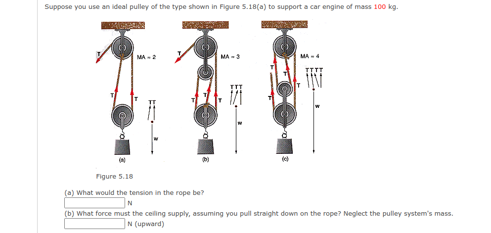 Solved Figure 5.18 (a) What would the tension in the rope | Chegg.com