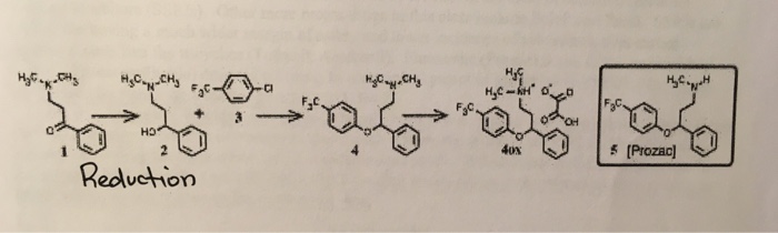 Solved Explain this reaction, the synthesis of NMP step by | Chegg.com