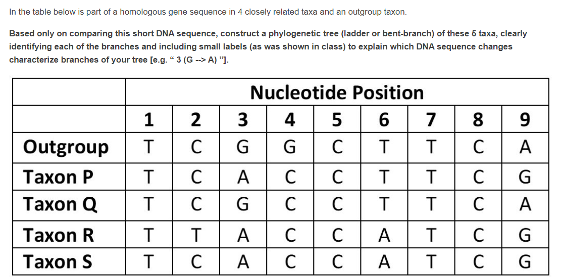 Solved Based only on comparing this short DNA sequence, | Chegg.com