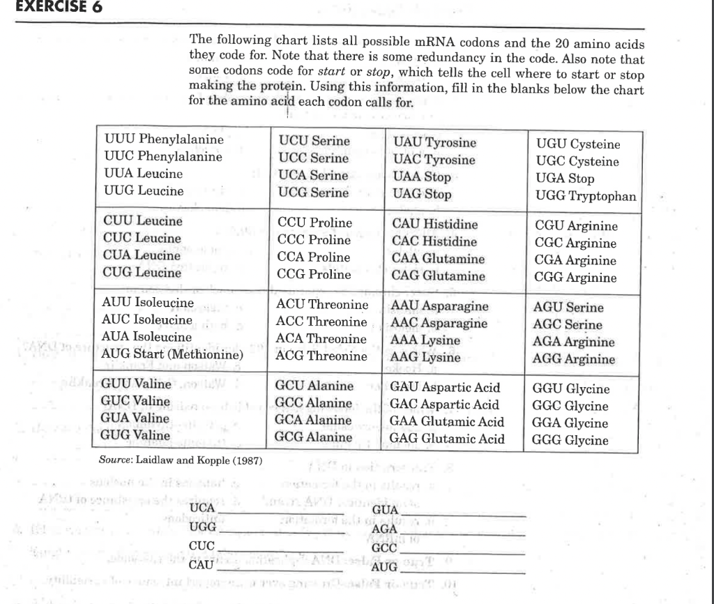 Solved The following chart lists all possible mRNA codons | Chegg.com