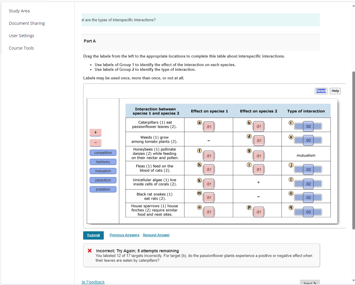 Solved Study AreaDocument SharingUser SettingsCourse Toolsat | Chegg.com