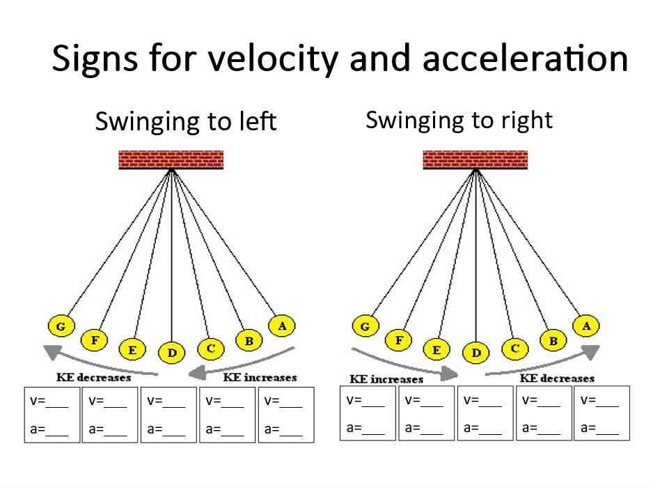 Solved Signs for velocity and accelerationSwinging to | Chegg.com