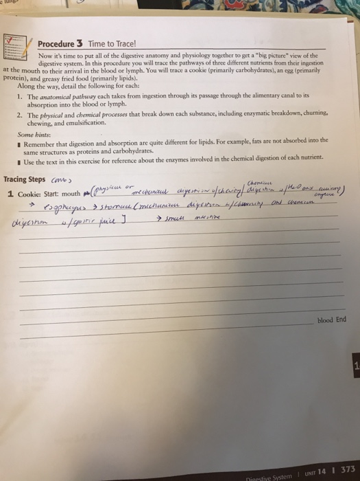 Solved Procedure 3 Time to Trace Now it's time to put all of | Chegg.com