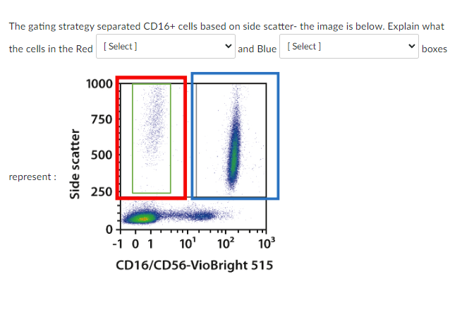 Solved The gating strategy separated CD16+ ﻿cells based on | Chegg.com