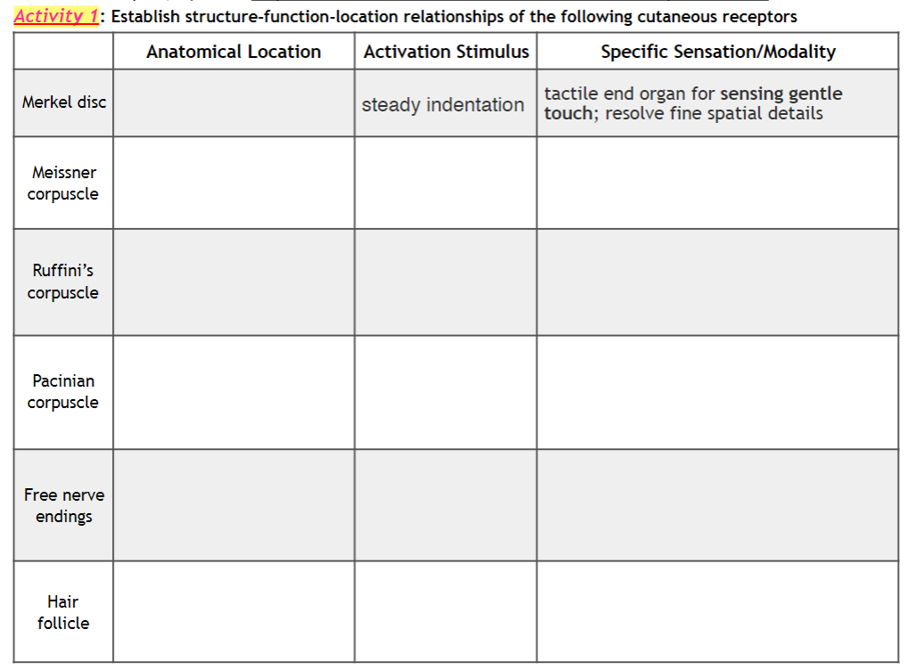 Solved Activity 1: Establish structure-function-location | Chegg.com