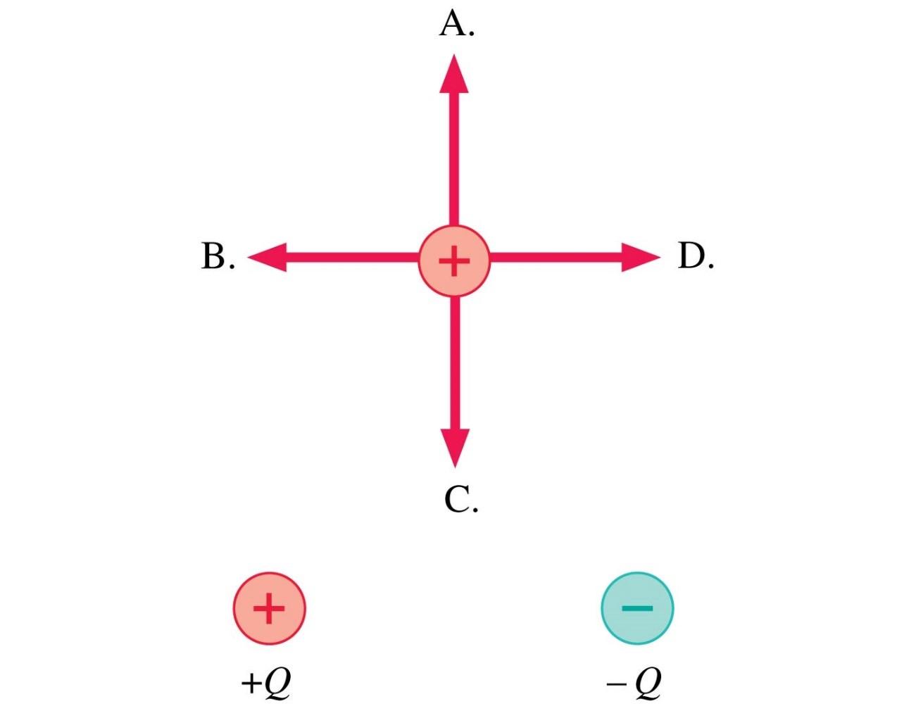 Solved What is the direction of the electric force on the | Chegg.com