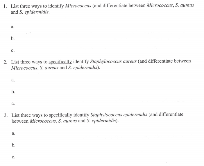 Solved SUMMARY OF GRAM POSITIVE COCCI: STAPHYLOCOCCUS - | Chegg.com