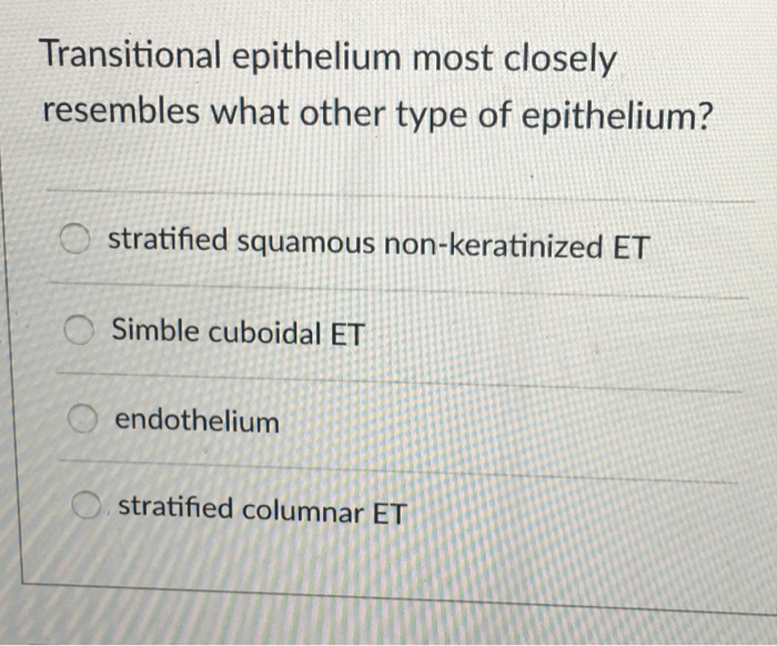 Solved Transitional epithelium most closely resembles what | Chegg.com