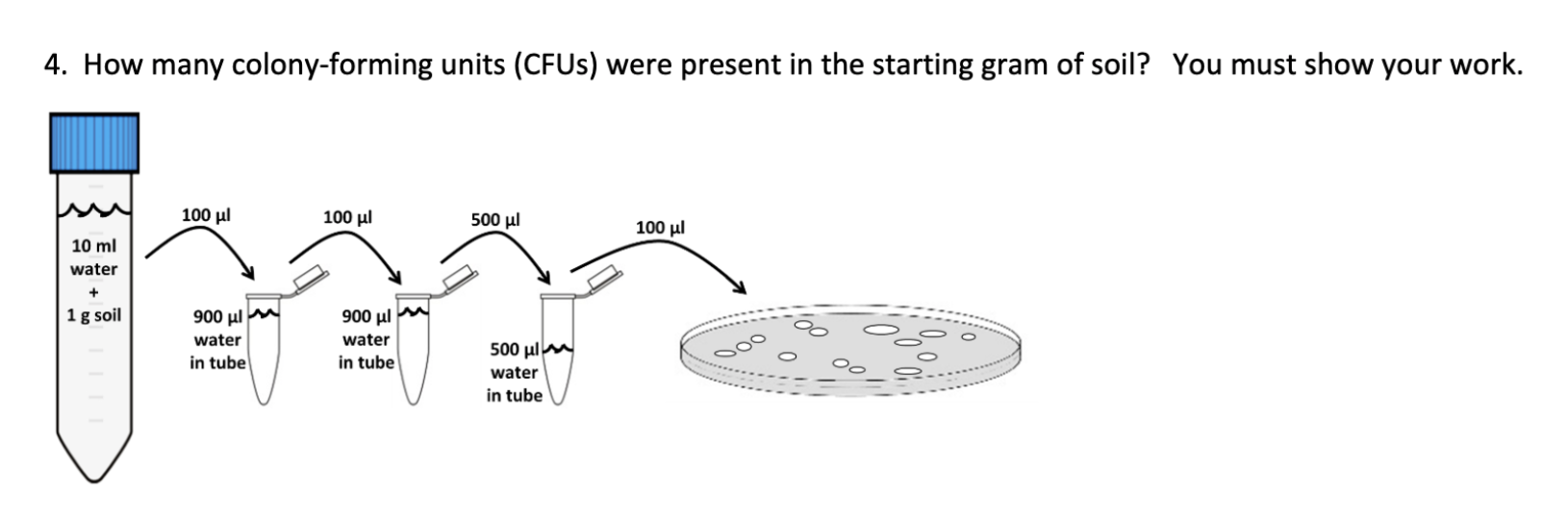 Solved 4. How many colony-forming units (CFUS) were present | Chegg.com
