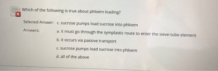 Solved Which of the following is true about phloem loading? | Chegg.com