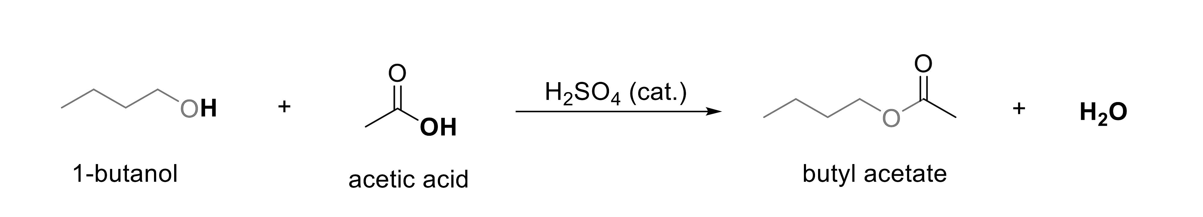 Solved Synthesis of Butyl Acetate Determine the limiting | Chegg.com