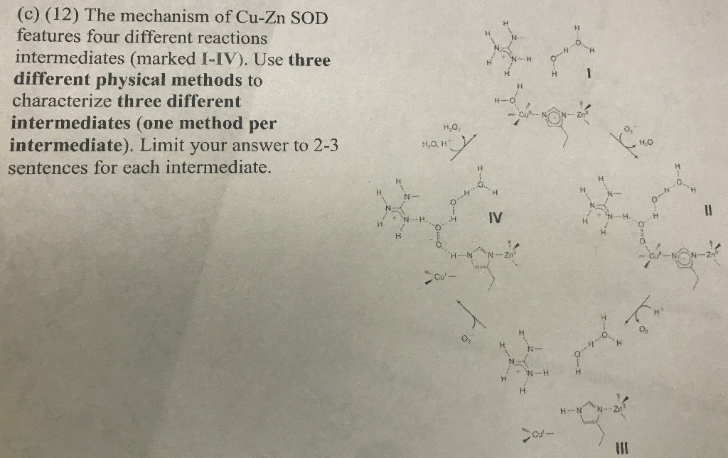 'N H (c) (12) The mechanism of Cu-Zn SOD features | Chegg.com