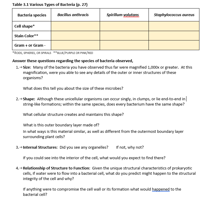 Solved Table 3.1 Various types of Bacteria (p. 27) Bacteria | Chegg.com