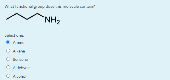 Solved What functional group does this molecule contain? NH2 | Chegg.com