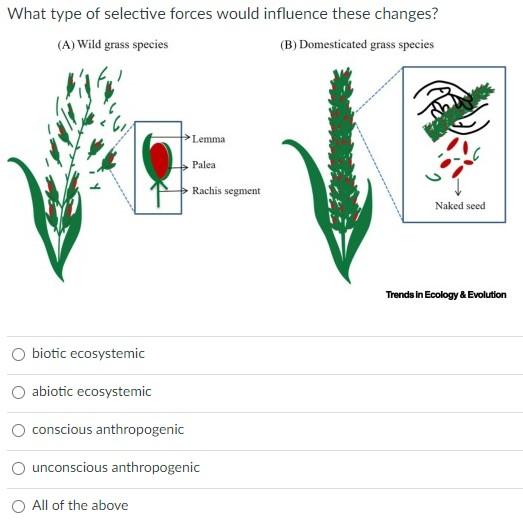Solved What type of selective forces would influence these | Chegg.com