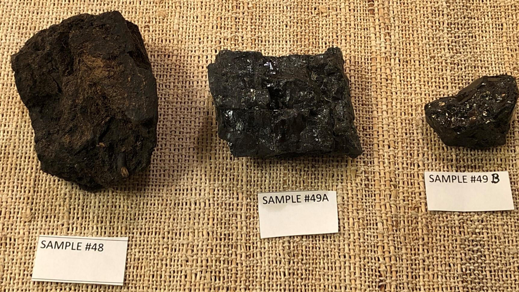 Coal Sedimentary Rock
