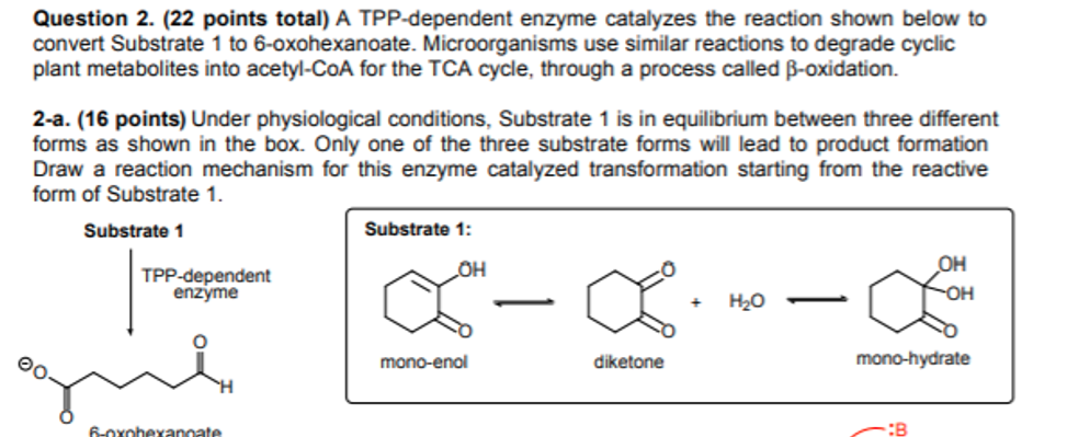 Solved Question 2 22 Points Total A Tpp Dependent Enzyme 