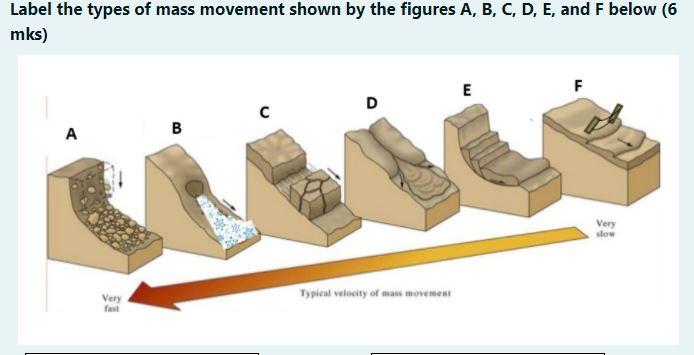Solved Label the types of mass movement shown by the figures | Chegg.com