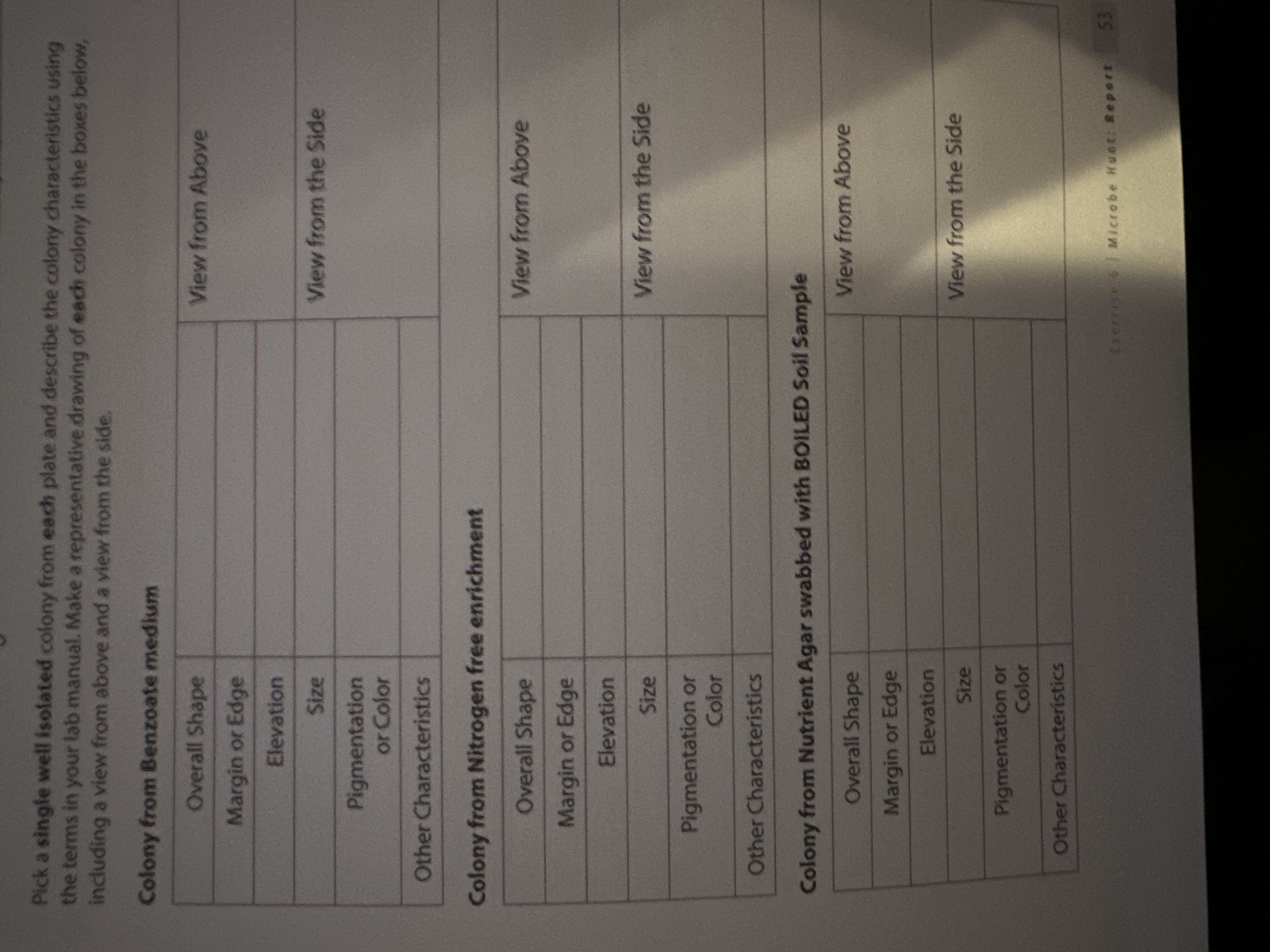 Solved Pick a single well isolated colony from each plate | Chegg.com