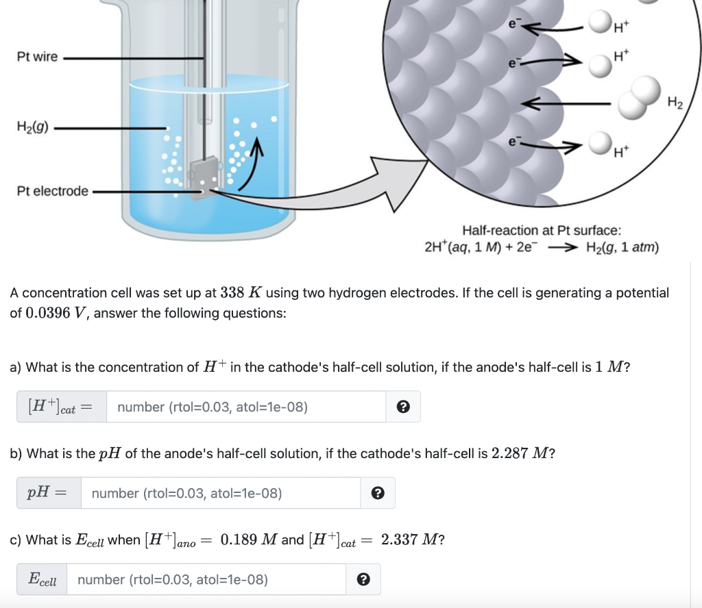 Solved Ht Pt wire HT H₂ H2(g) Ht Pt electrode Half-reaction | Chegg.com