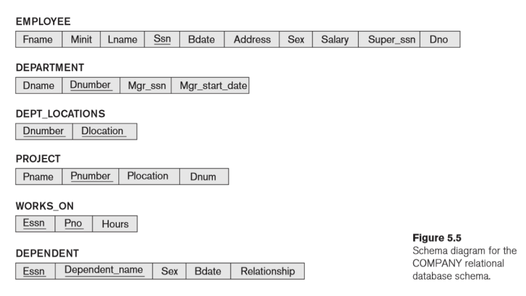Solved Specify the following queries on the COMPANY | Chegg.com