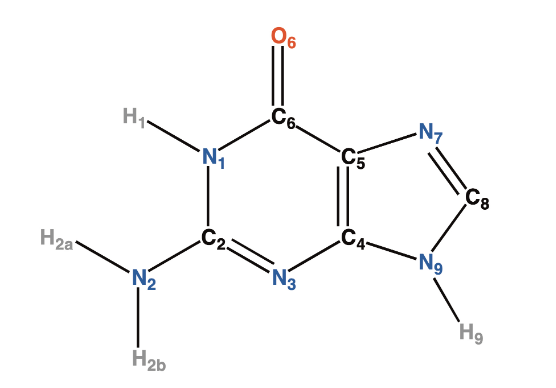 Solved 6 HT C6- -N7 N1 -C5 > G8 Hea C2 C4- Ng N2 Но H2b | Chegg.com