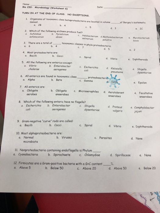 Microbiology Worksheet