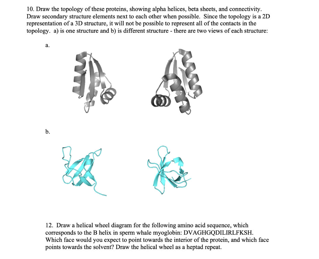 Solved 10. Draw the topology of these proteins, showing | Chegg.com