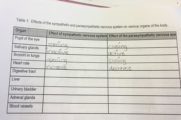 Solved Table 1: Effects of the sympathetic and | Chegg.com