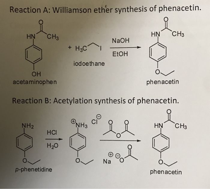 Solved Reaction A Williamson Ether Synthesis Of Phenacetin