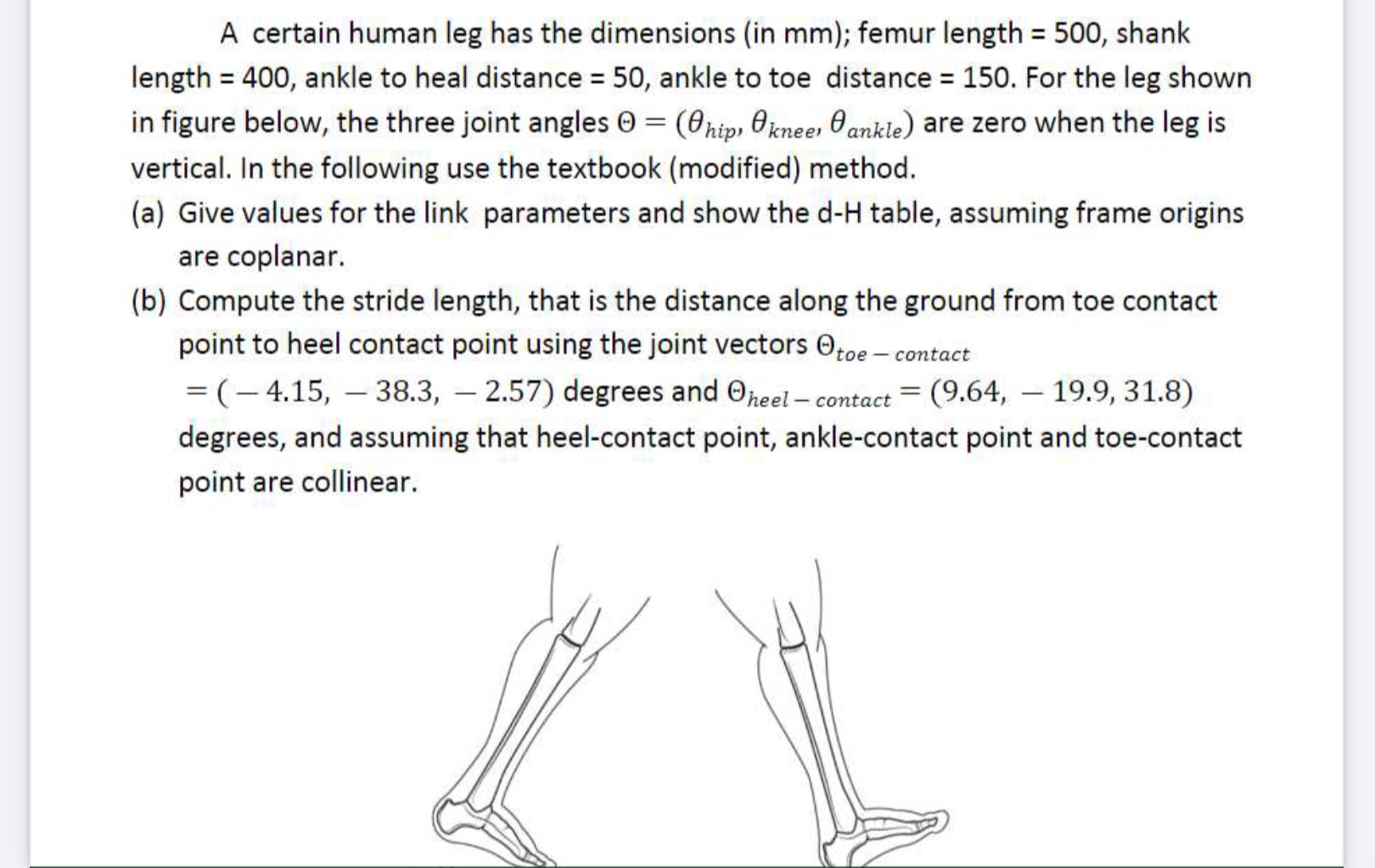 Solved A certain human leg has the dimensions (in mm ); | Chegg.com