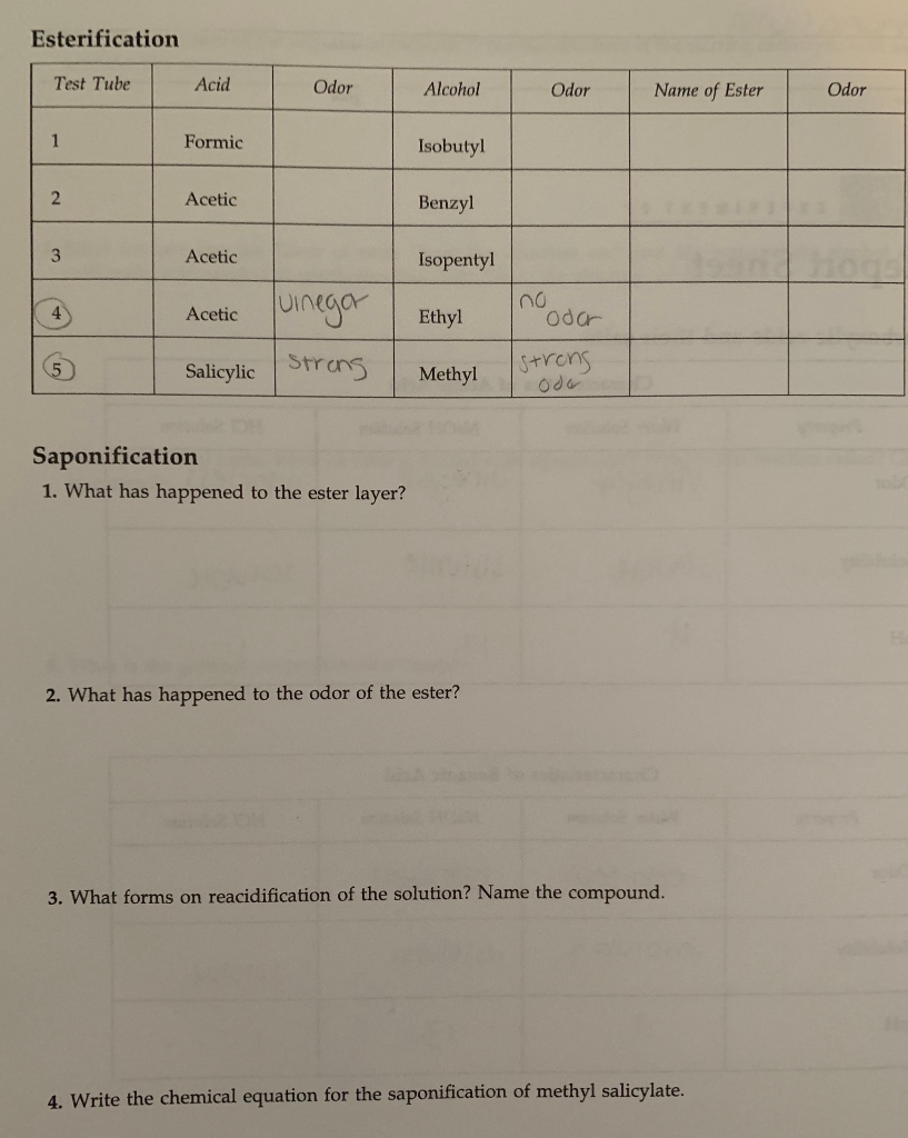 Solved Esterification Test Tube Acid Odor Alcohol Odor Name | Chegg.com