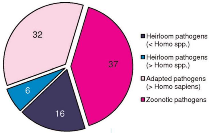 Human pathogens have emerged into the human species | Chegg.com