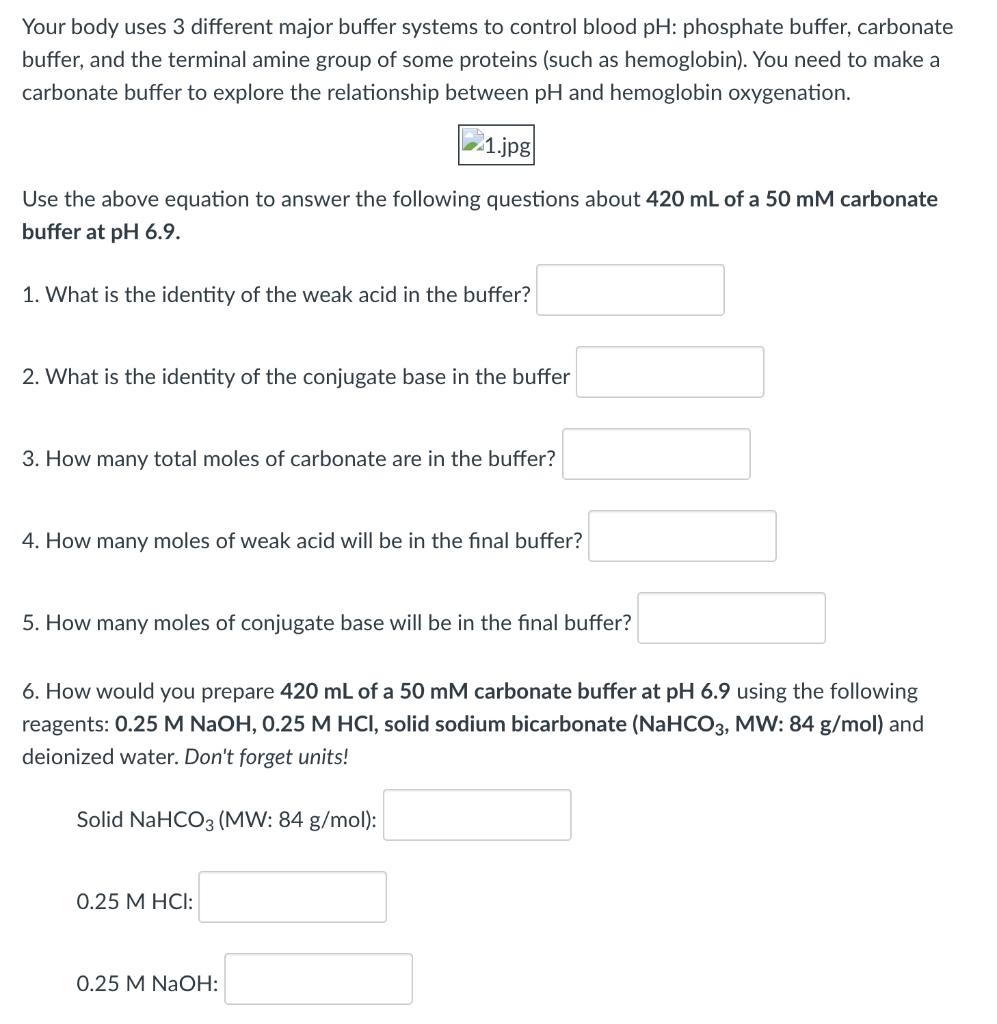 Solved Your body uses 3 different major buffer systems to | Chegg.com