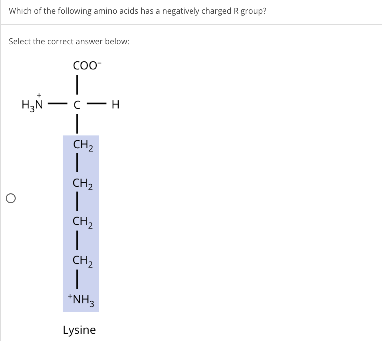 Solved Which of the following amino acids has a negatively | Chegg.com