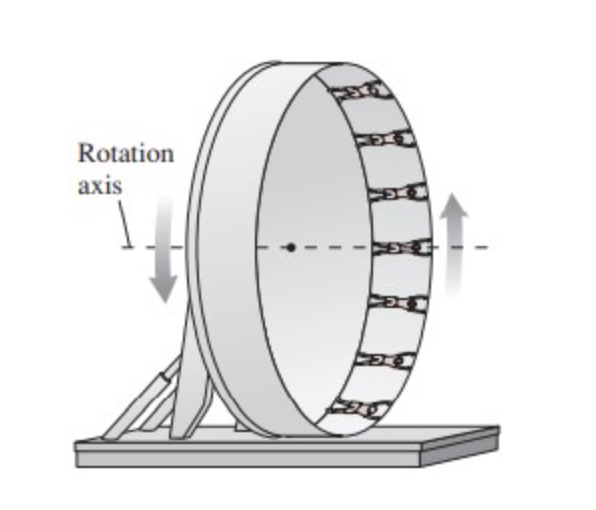 Solved At the fair there is a ride shown in the figure below | Chegg.com