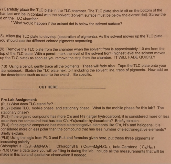Solved Separation of Plant Pigments by Thin Layer | Chegg.com