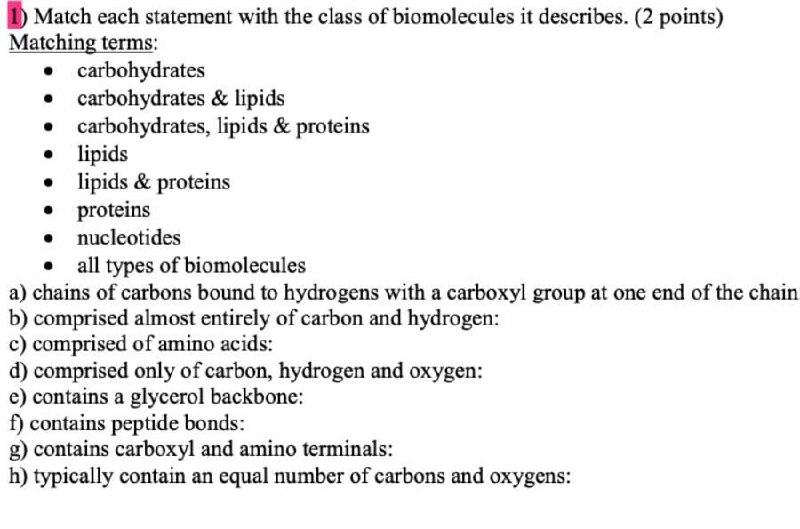 Solved . Match each statement with the class of biomolecules | Chegg.com