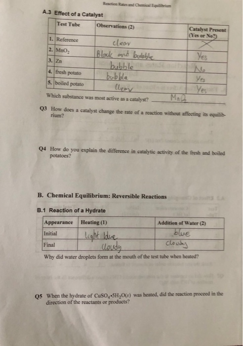 Solved Reaction Rates and Chemical Equl A.3 Effect of a | Chegg.com