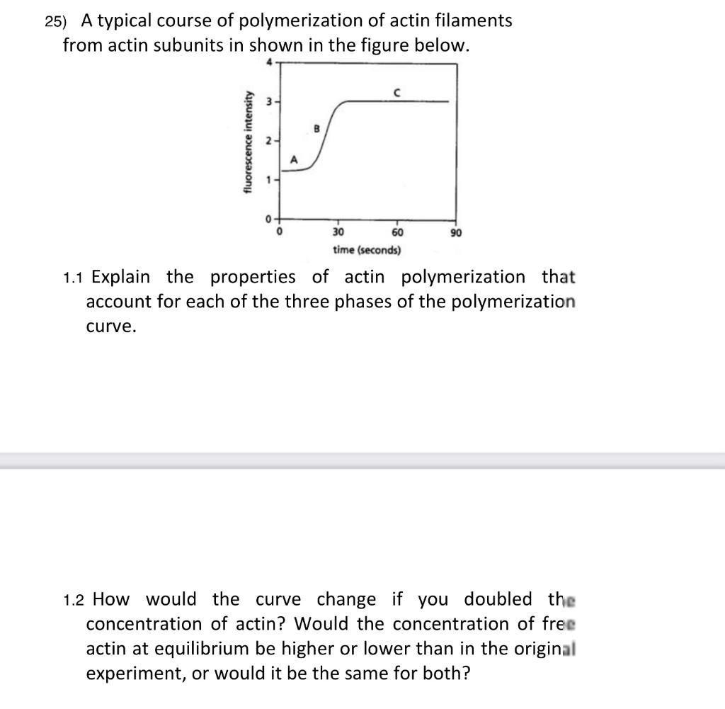 Solved 25) A typical course of polymerization of actin | Chegg.com