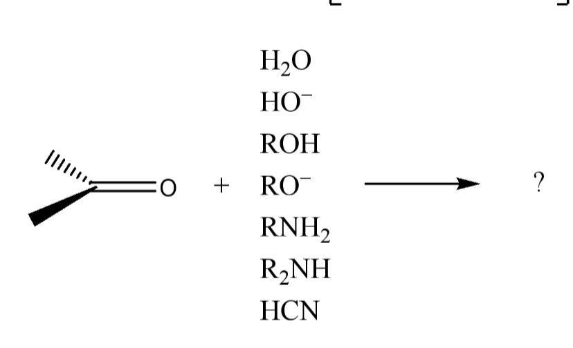 Solved HO HO- ROH EO + RO- ? RNH2 R2NH HCN | Chegg.com